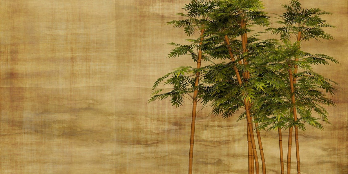 Understanding How Bamboo Spreads: Growth Patterns and Control — Sivana